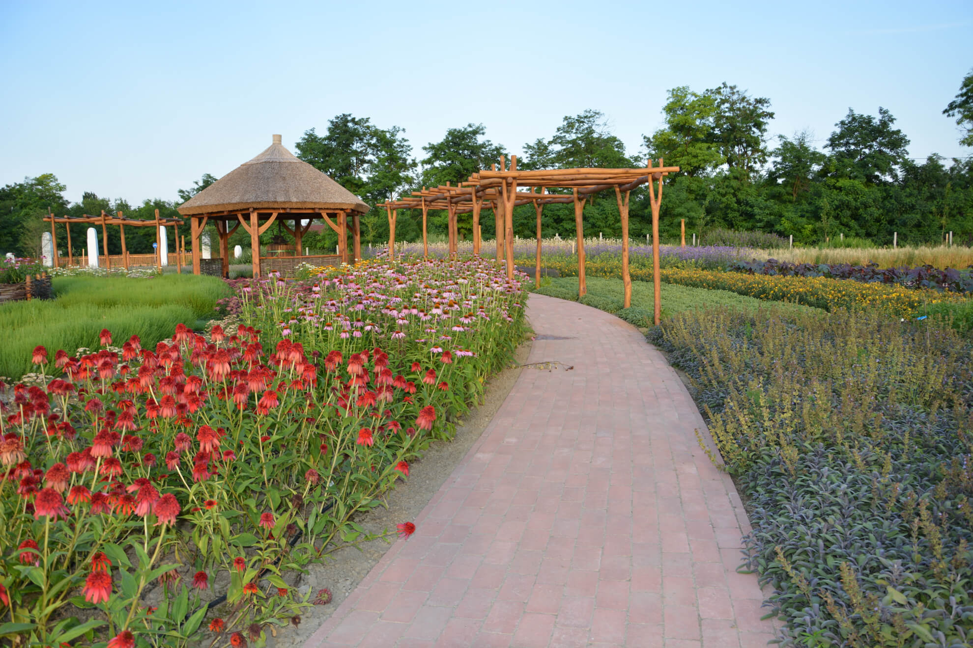 6 Ways You Can Build a Mini-Eminence Organics Farm In Your Backyard!