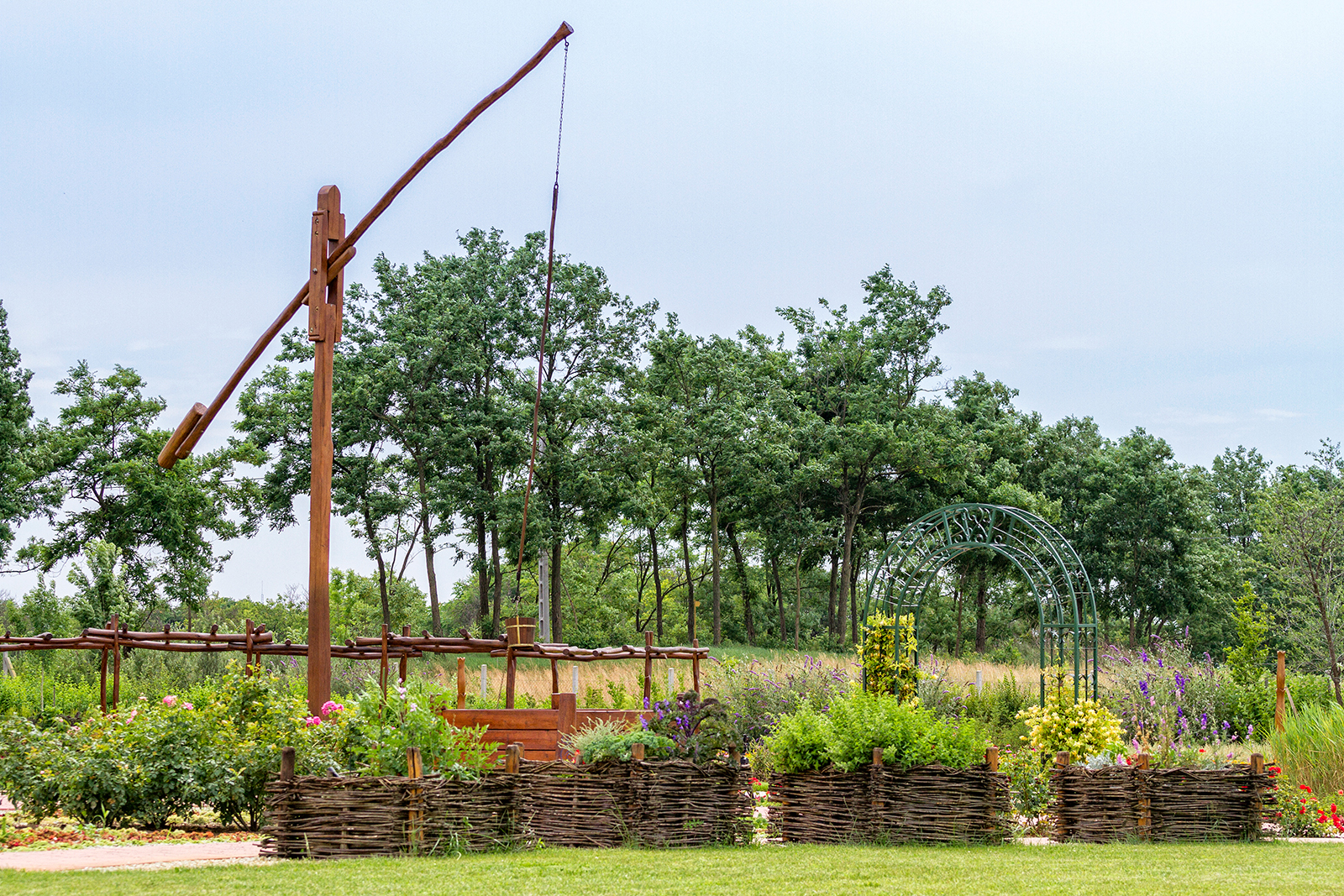 Farm Feature: The Water Well - Eminence Certified Organic Farm