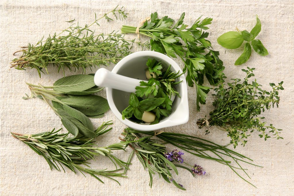Organic Herbs and Plants With Healing Properties